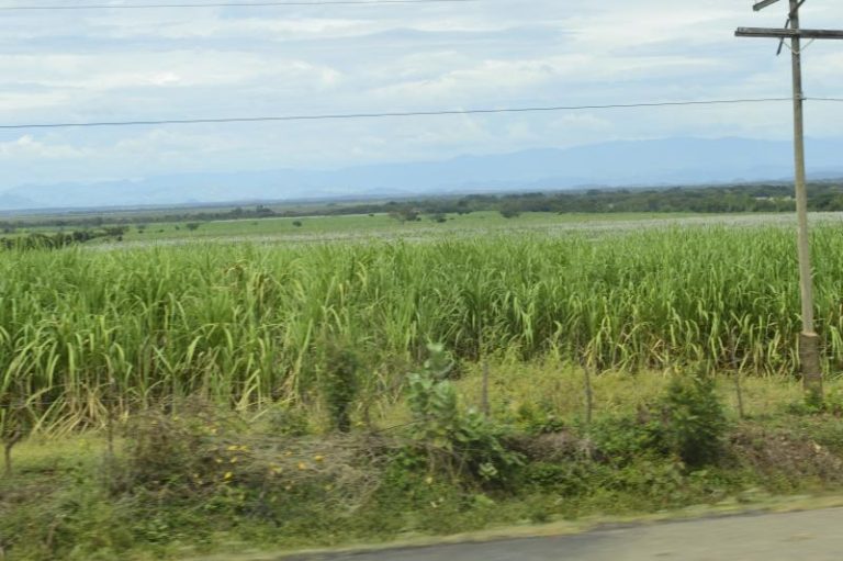 Ian Welsh – The horizon is not so far as we can see, but as far as we ...